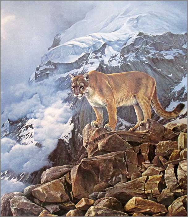 Alan Hunt, limited edition prints on paper, giclee canvas and posters