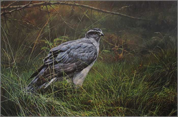 Alan Hunt, limited edition prints on paper, giclee canvas and posters